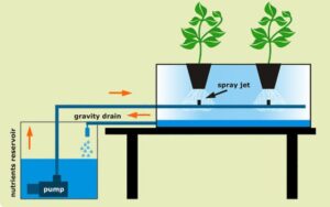 Aeroponics: A Revolutionary Approach to Sustainable Farming – Soilless ...
